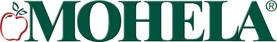 Make a Payment – Meritize